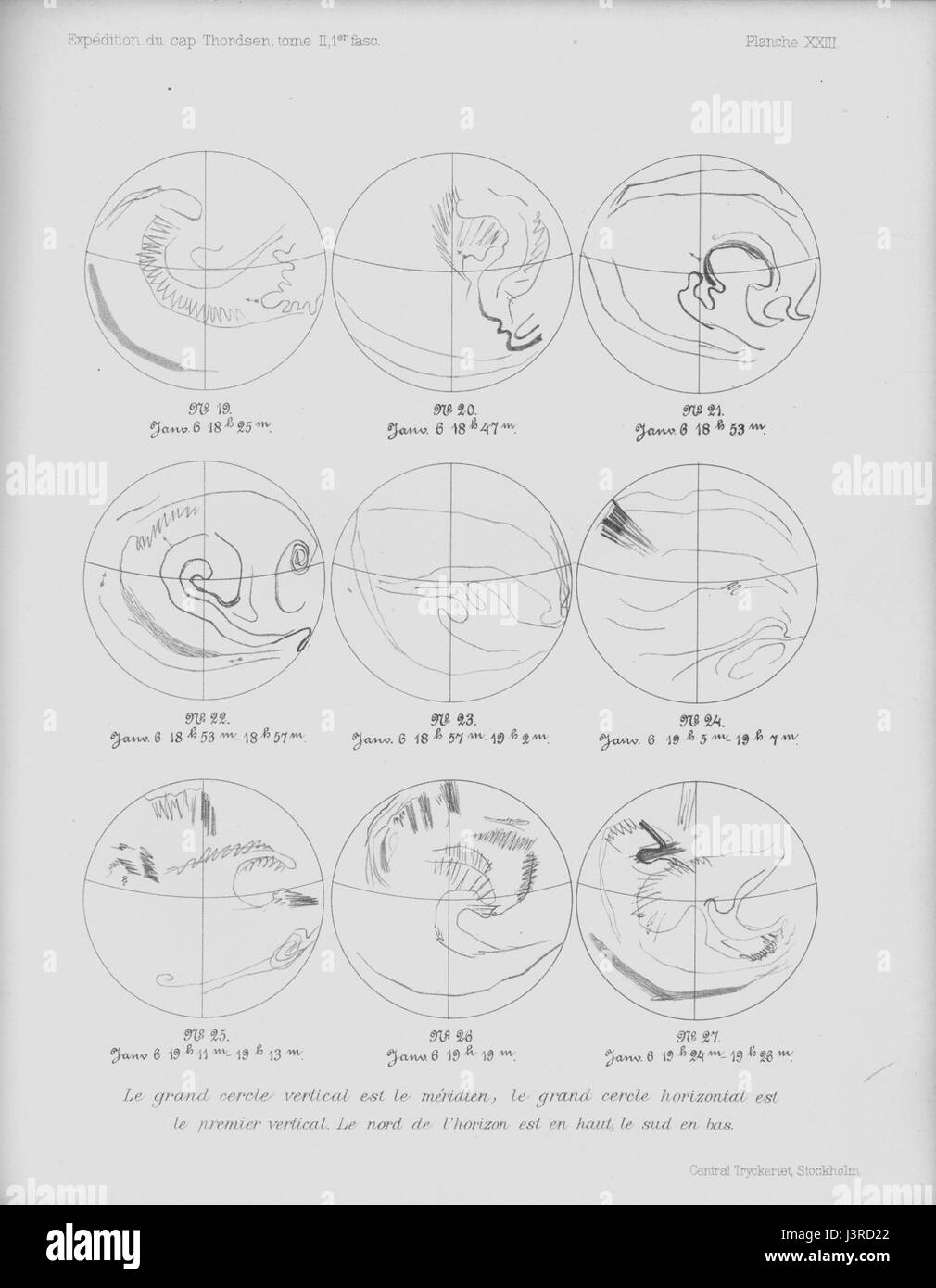 This plate from Ipy Thordsen's work depicts an intricate design, known ...