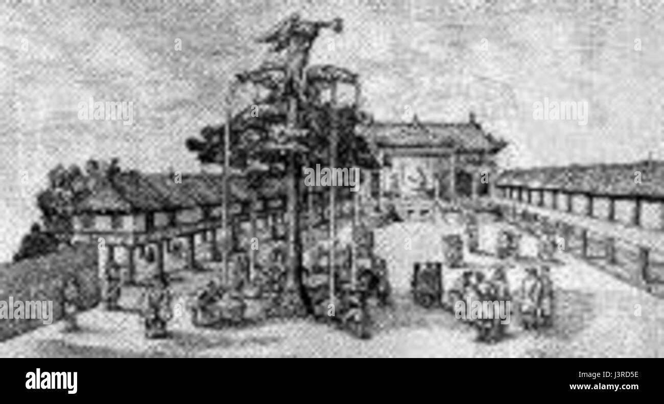 Karakorum Silver Tree Stock Photo - Alamy