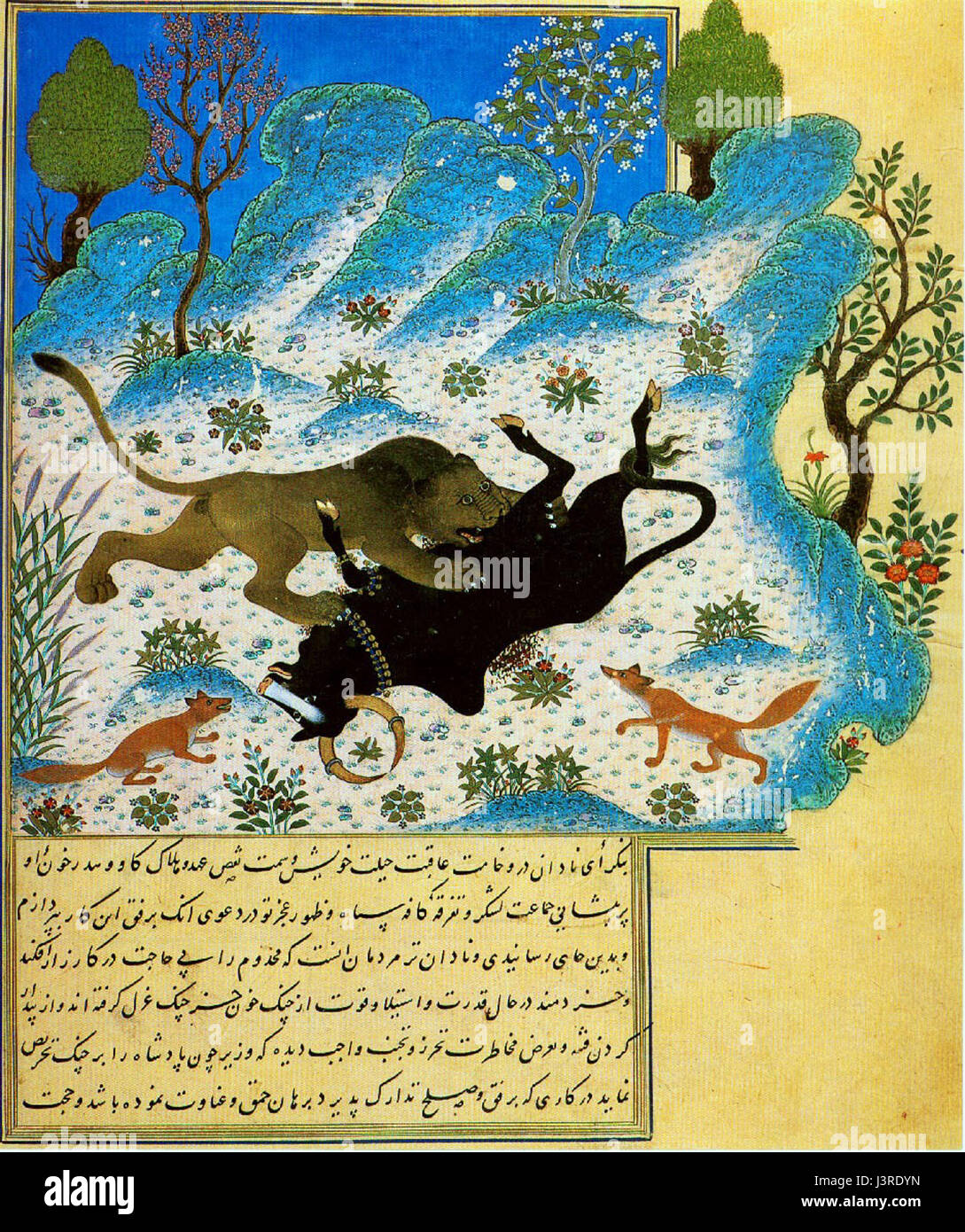 Dimna hi-res stock photography and images - Alamy