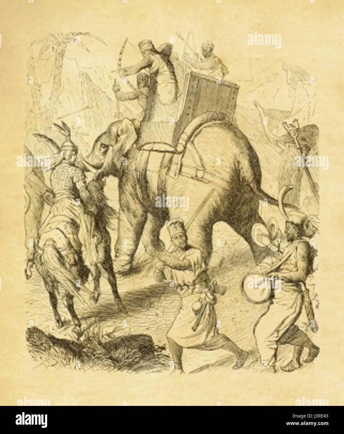Indian war elephant Stock Photo - Alamy