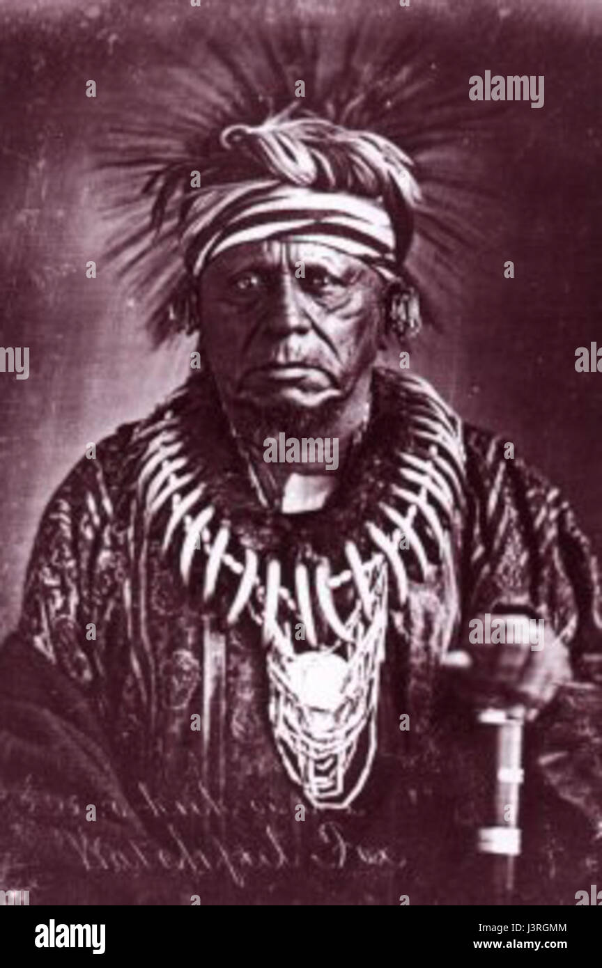 Keokuk was a prominent leader of the Sauk Native American tribe in the ...
