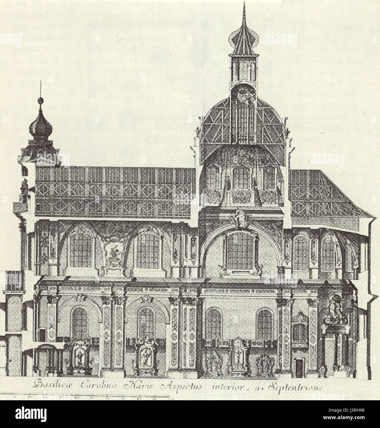 Longitudinal section of hi-res stock photography and images - Alamy