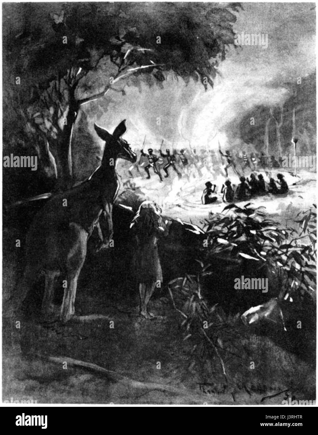 A visual depiction of a sick kangaroo, possibly showcasing the impact ...