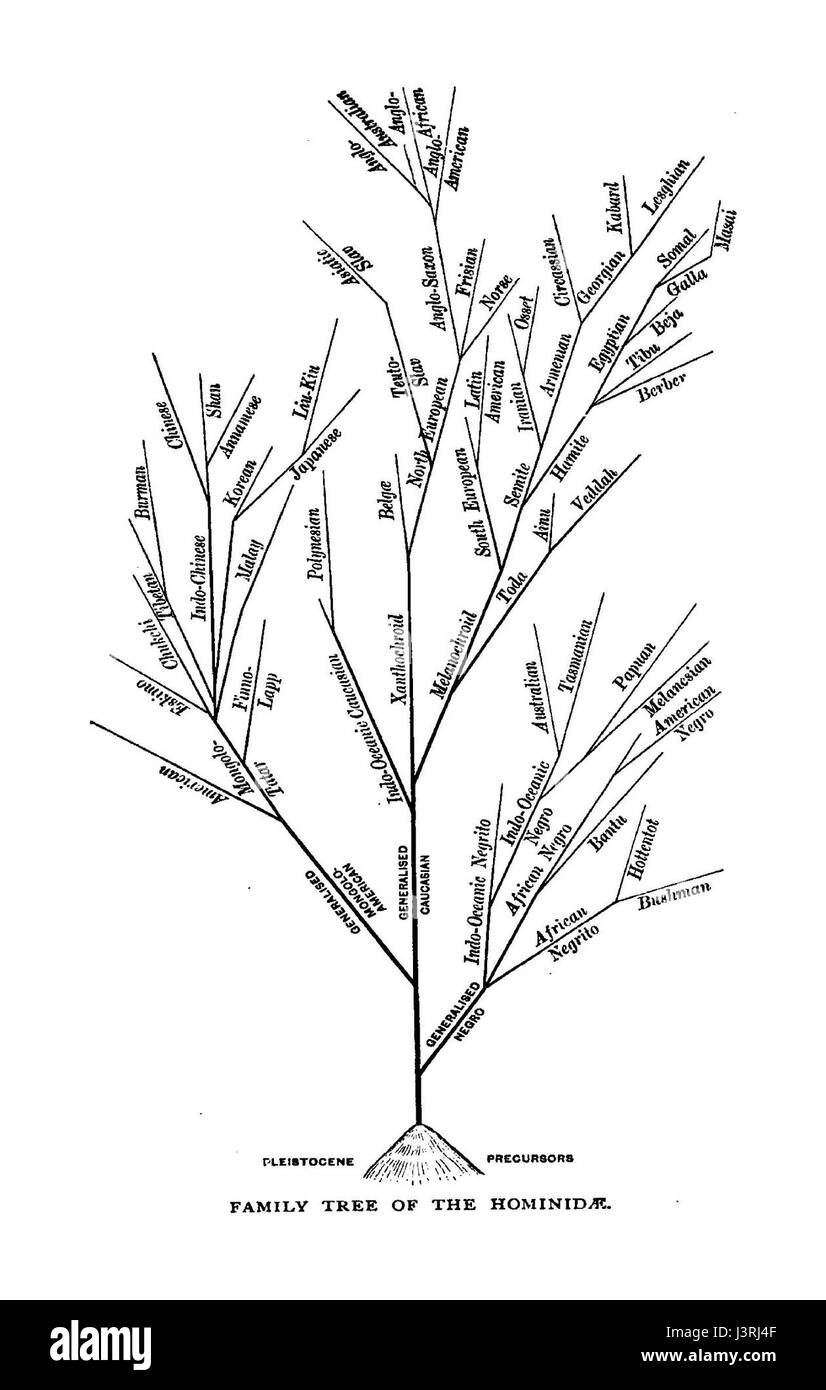 Tree ancient historic history Cut Out Stock Images & Pictures - Alamy