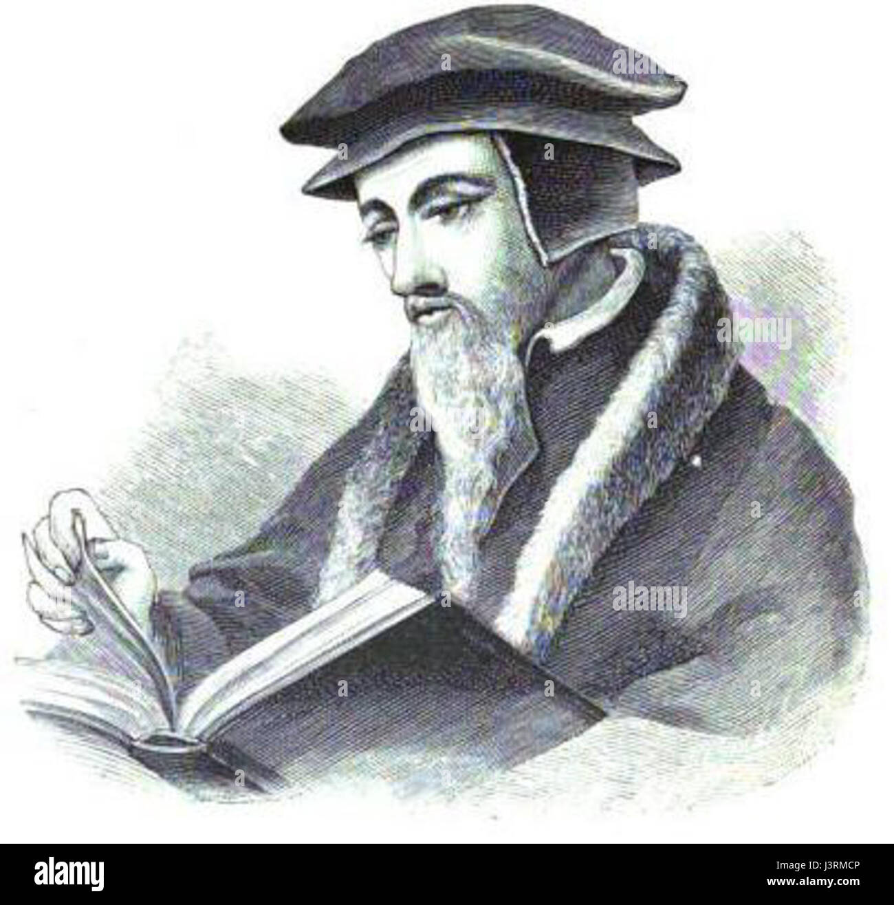 John Calvin line drawing Stock Photo - Alamy