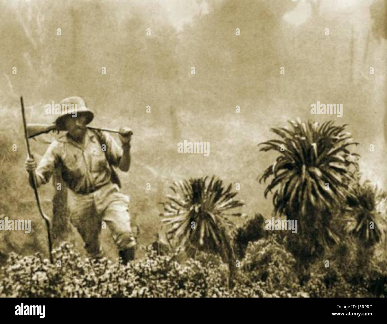 Kazimierz Nowak was a Polish explorer known for his travels in Africa ...