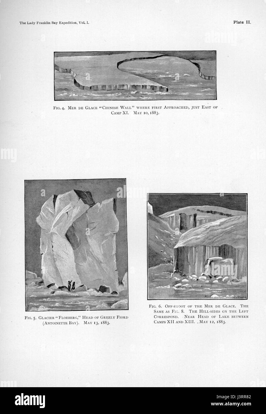 Zoology plate Black and White Stock Photos & Images - Alamy