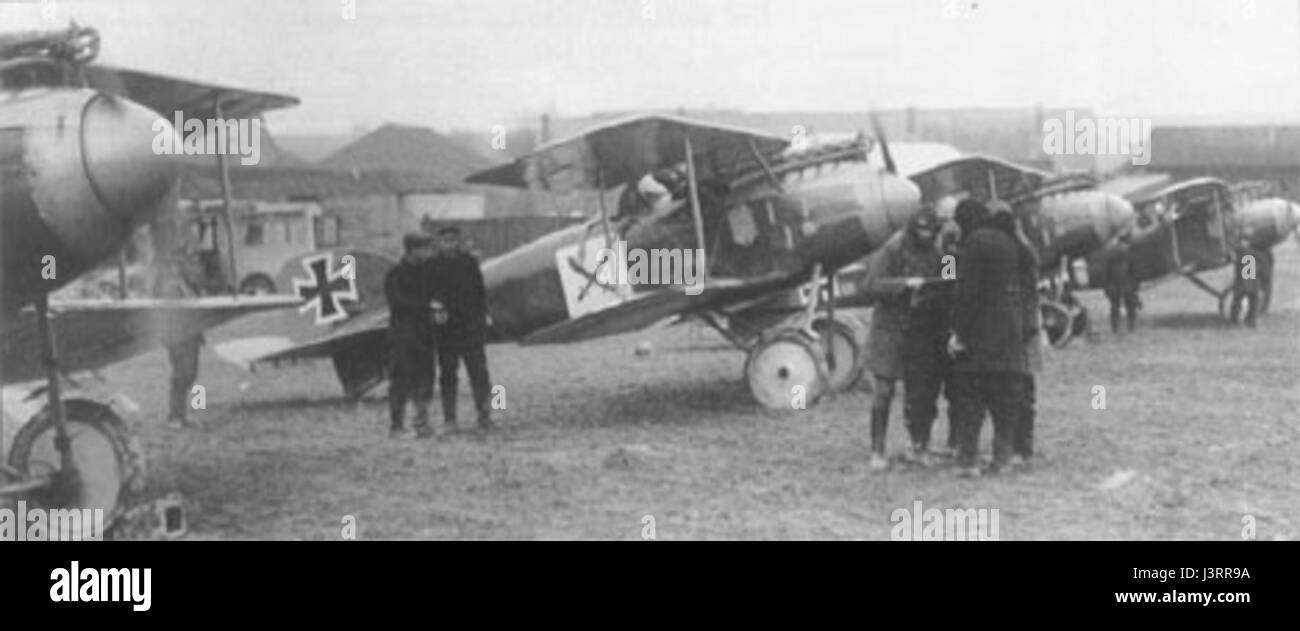 Jasta 91 was a German fighter squadron during World War I, known for ...