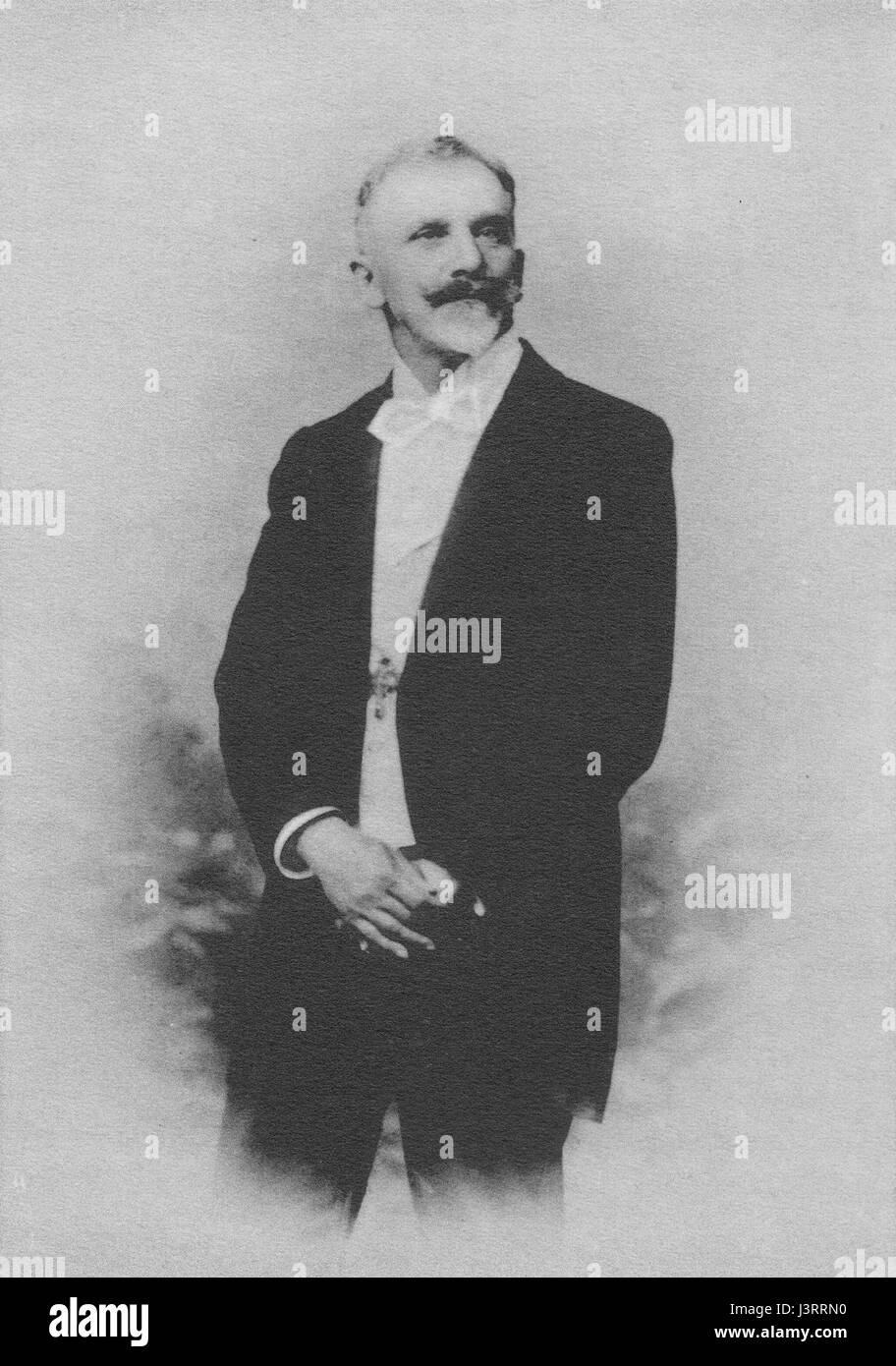 This 1896 portrait of Julius Zeyer by Pech captures the renowned Czech ...