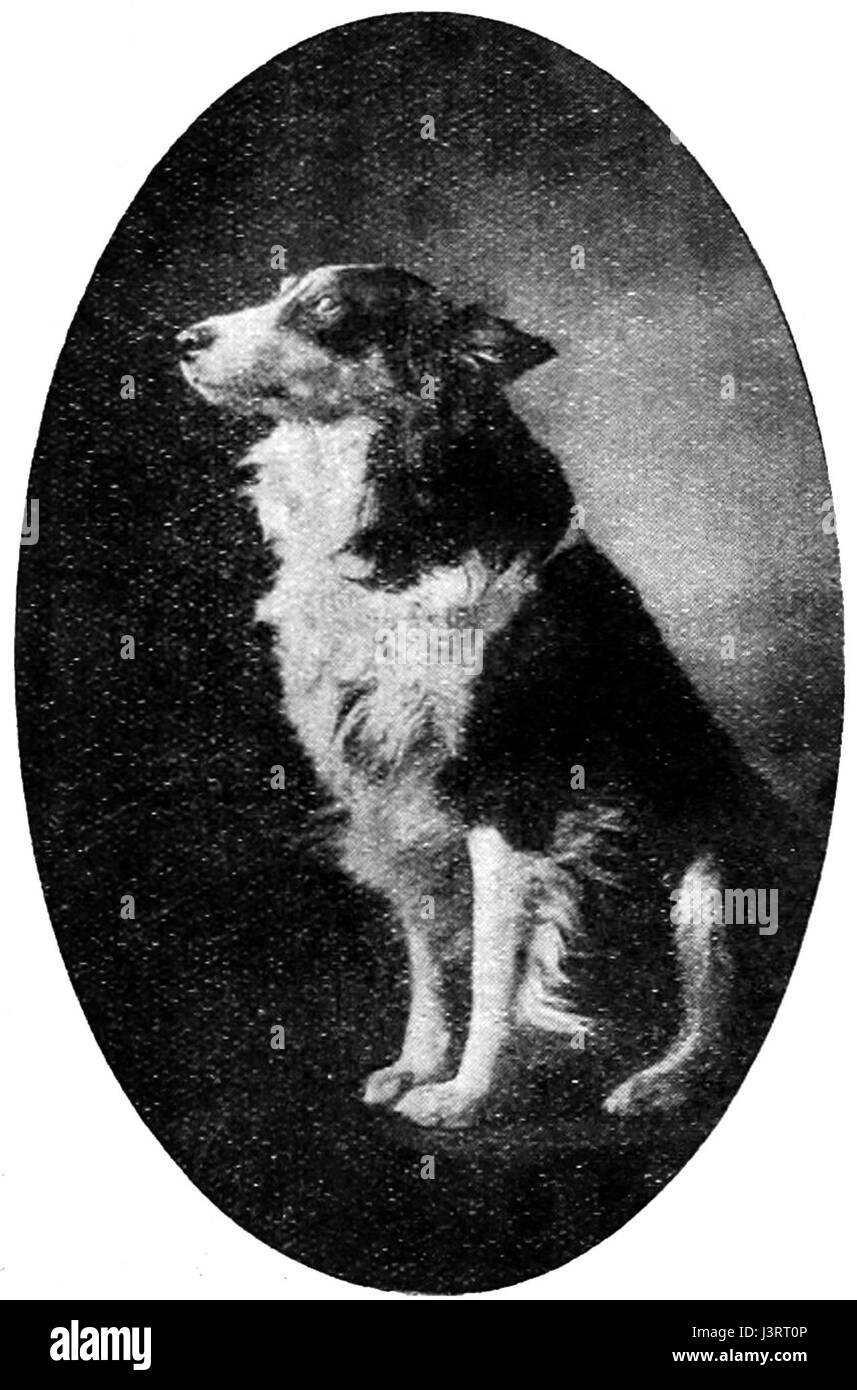 Jean Vitagraph was an important figure in the early days of cinema ...