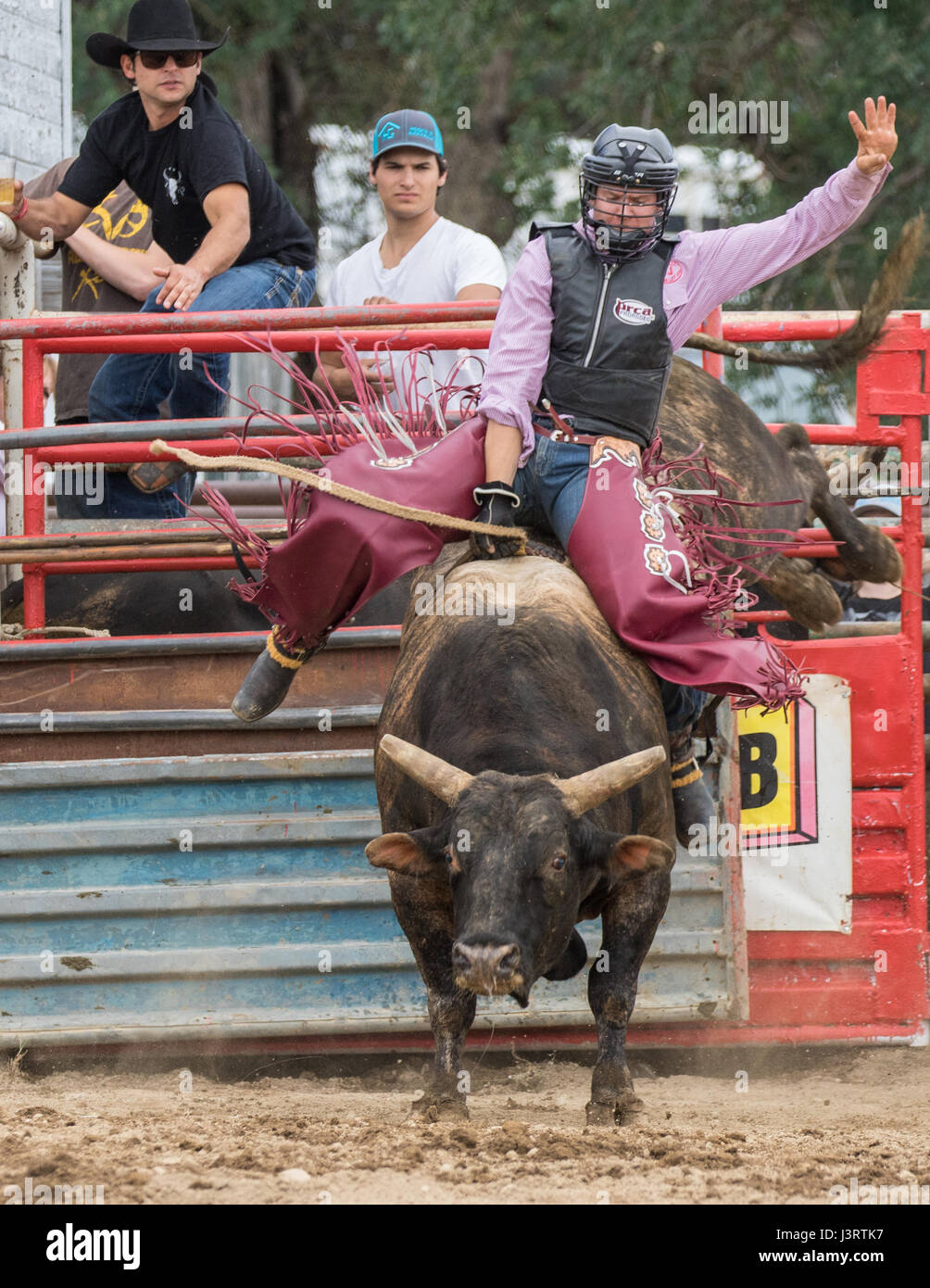 Rodeo action in Cottonwood, California Stock Photo - Alamy
