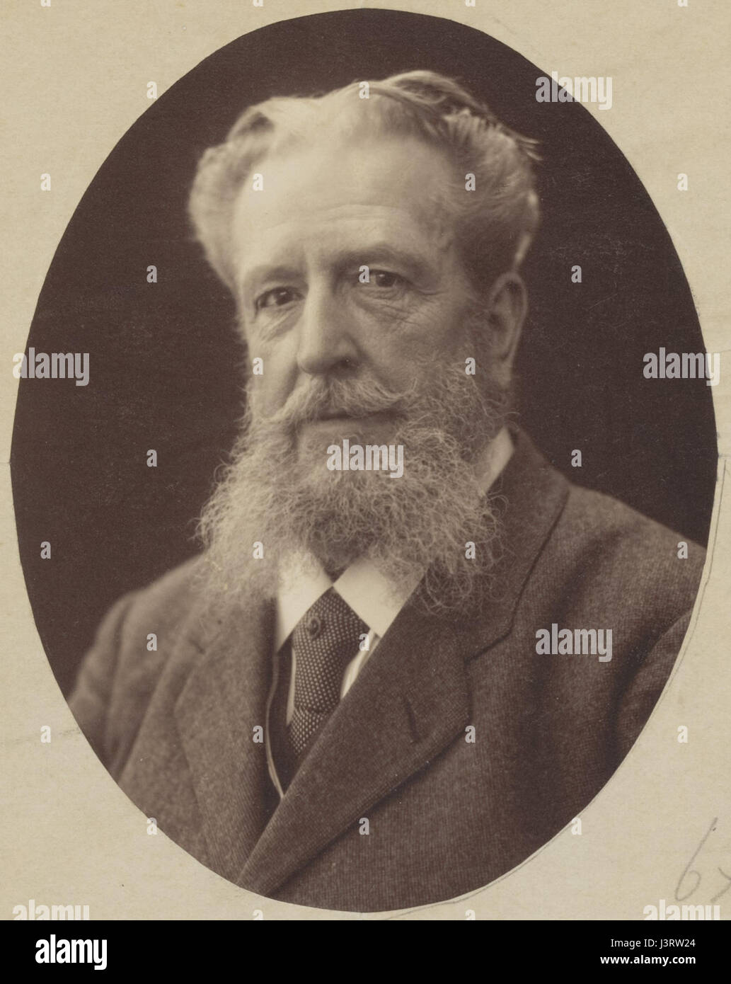 Jan ten Kate Stock Photo - Alamy