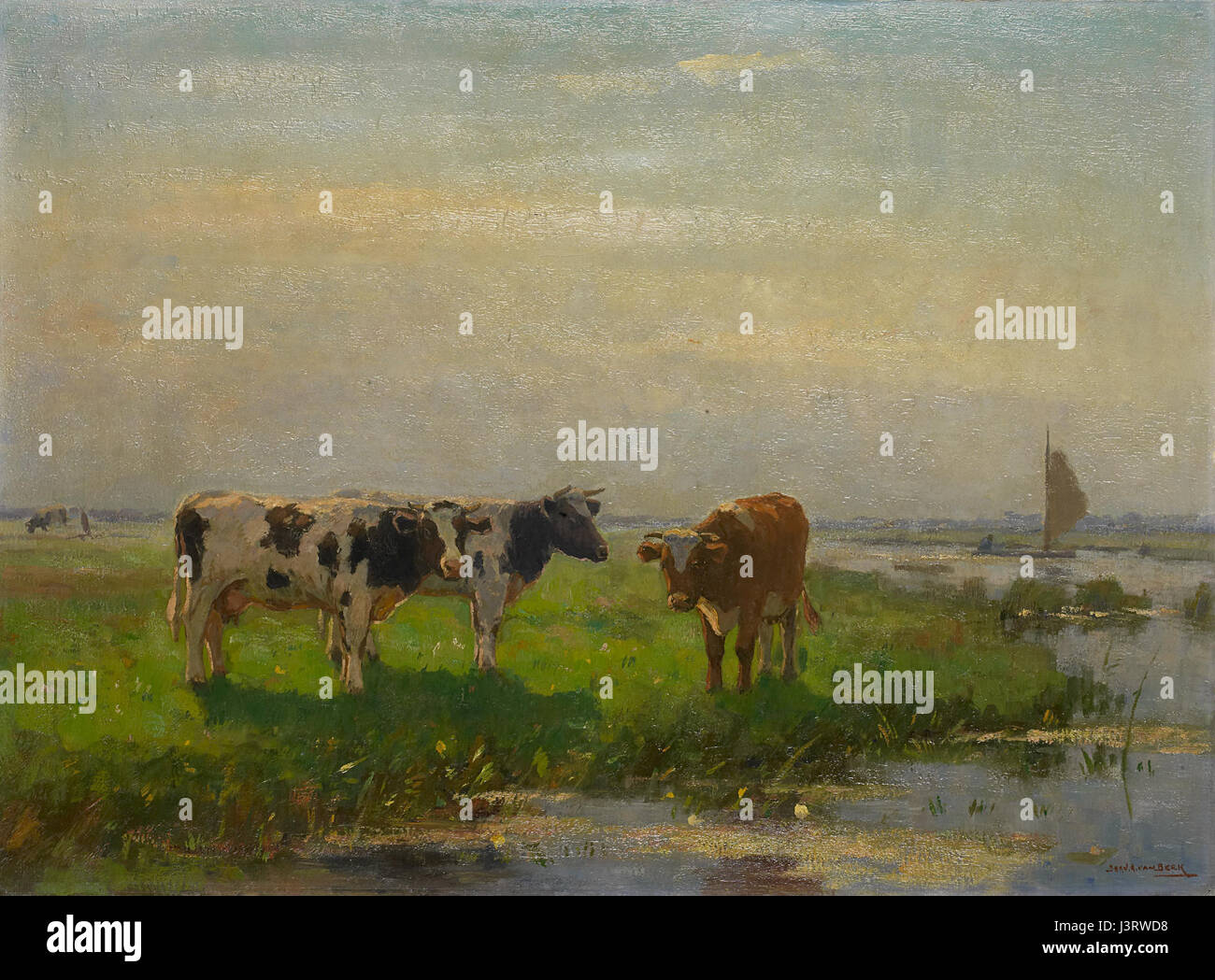 Koeien In De Wei Stock Photos & Koeien In De Wei Stock Images - Alamy