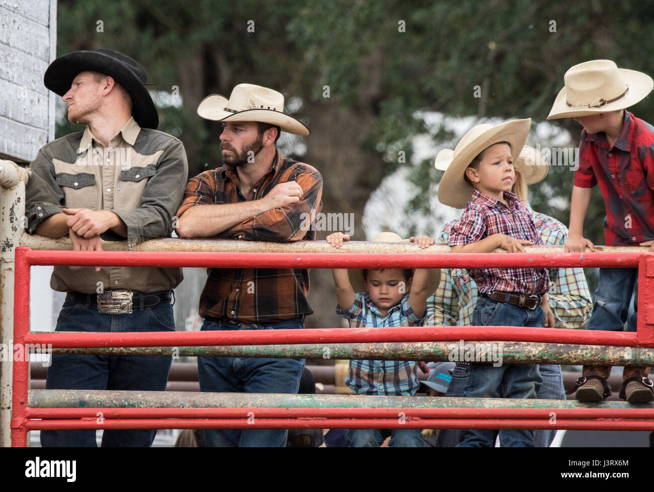 Cowboys big and small at a rodeo in Cottonwood, California Stock Photo ...