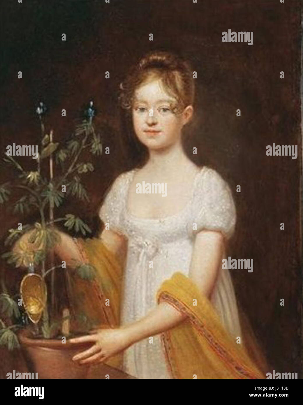 Shubert theater broadway hi-res stock photography and images - Alamy