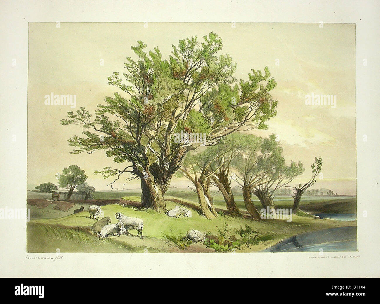James Duffield Harding was a 19th-century English painter known for his ...