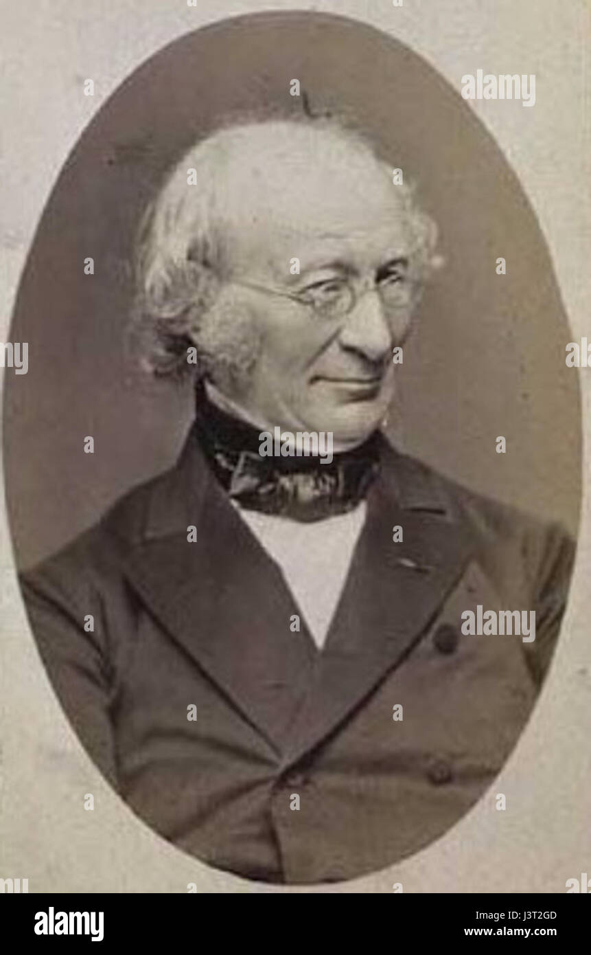 Johan Nicolai Madvig by Emil Rye Stock Photo - Alamy