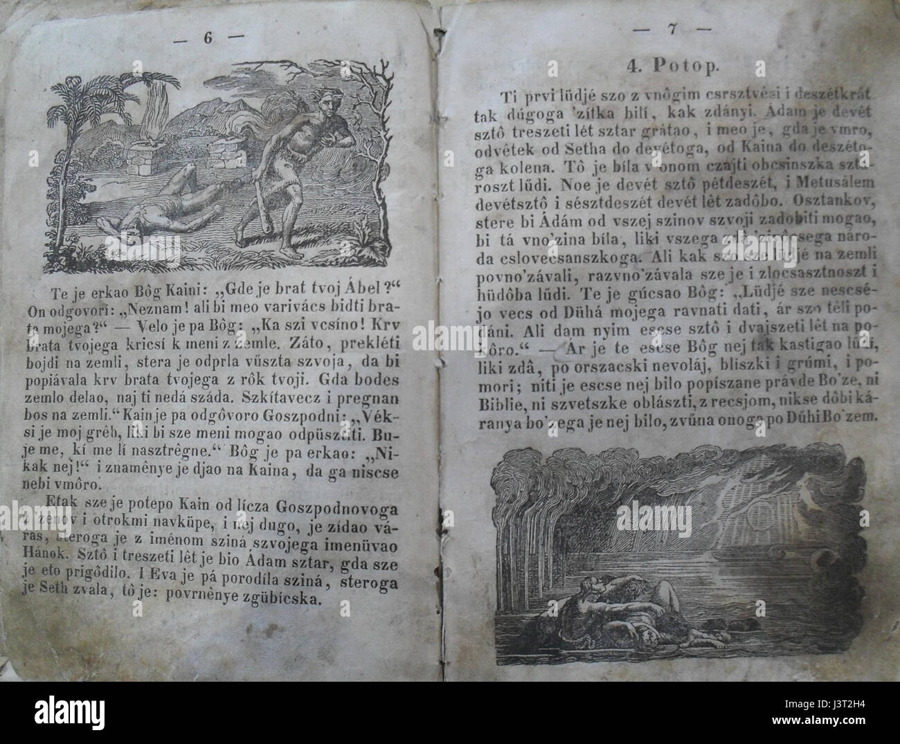 Buja hi-res stock photography and images - Alamy