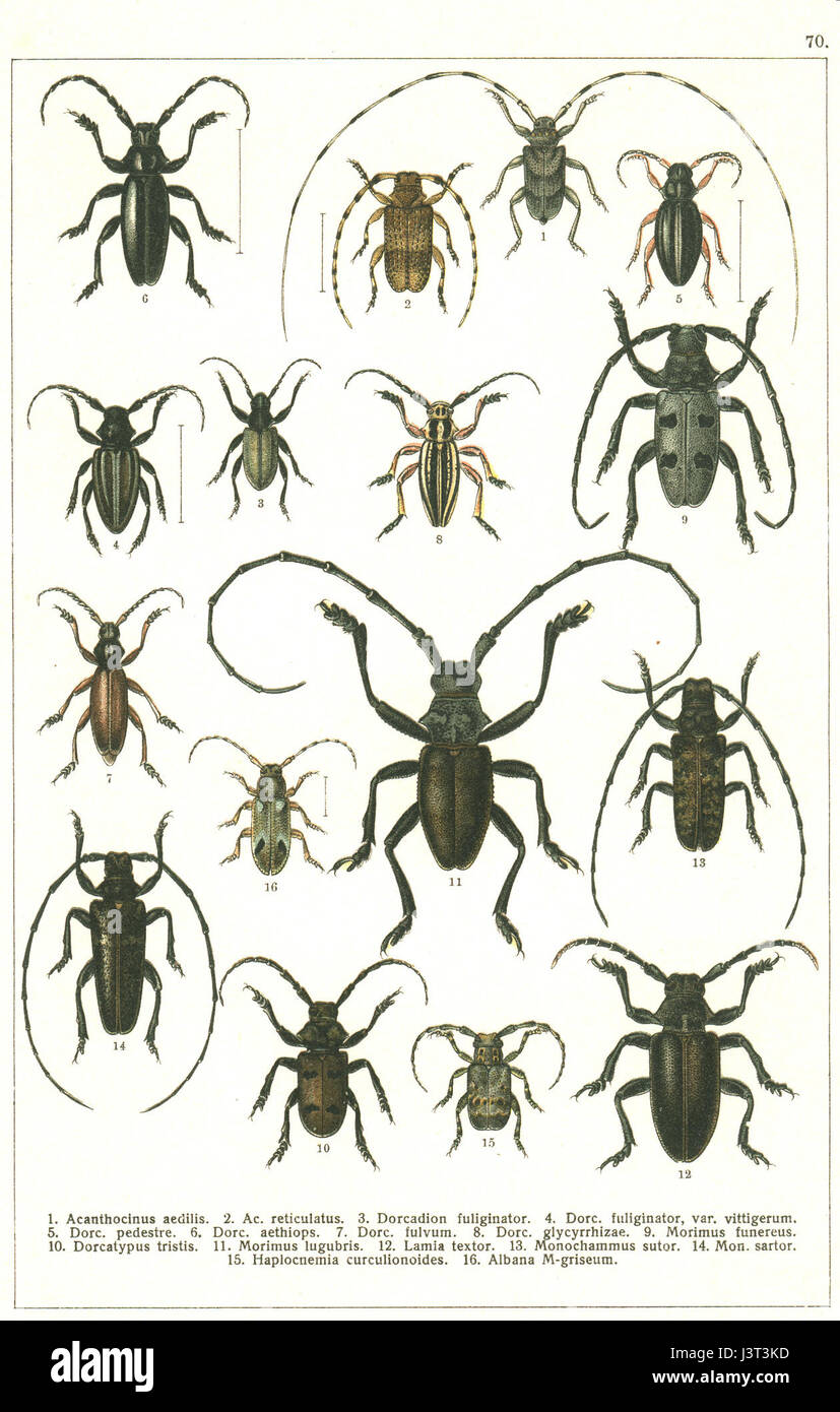 Jacobs70 appears to refer to a specific work or concept associated with ...