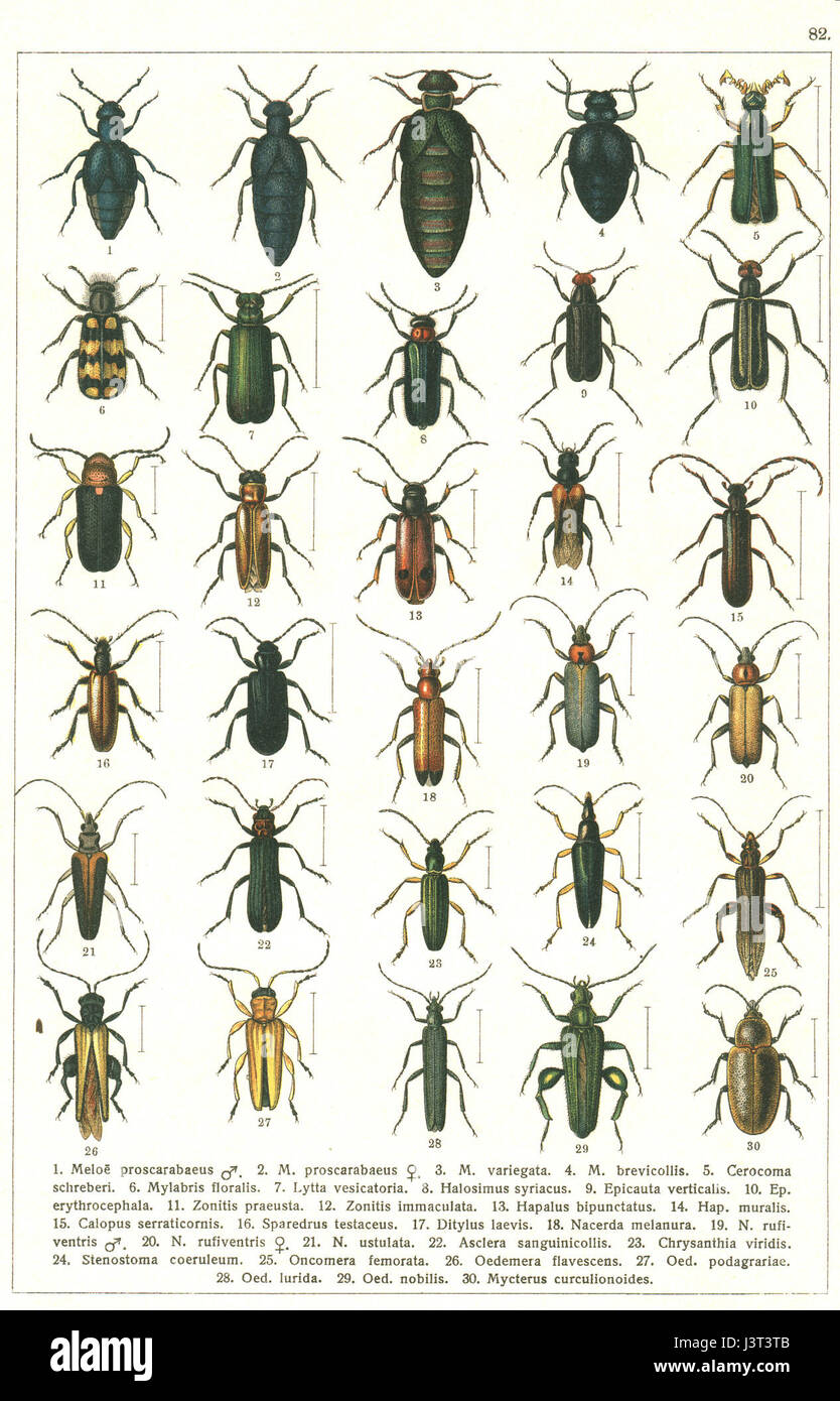 Jacobs, a surname associated with notable individuals in various ...