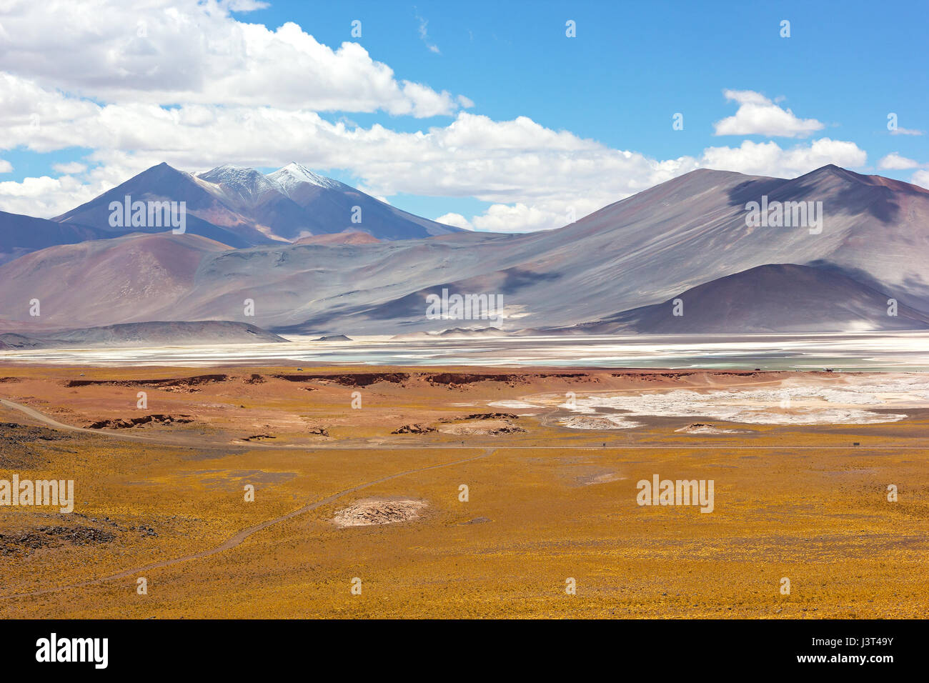 Colorful landscape Salar de Atacama, Chile. Desert crossroads with ...