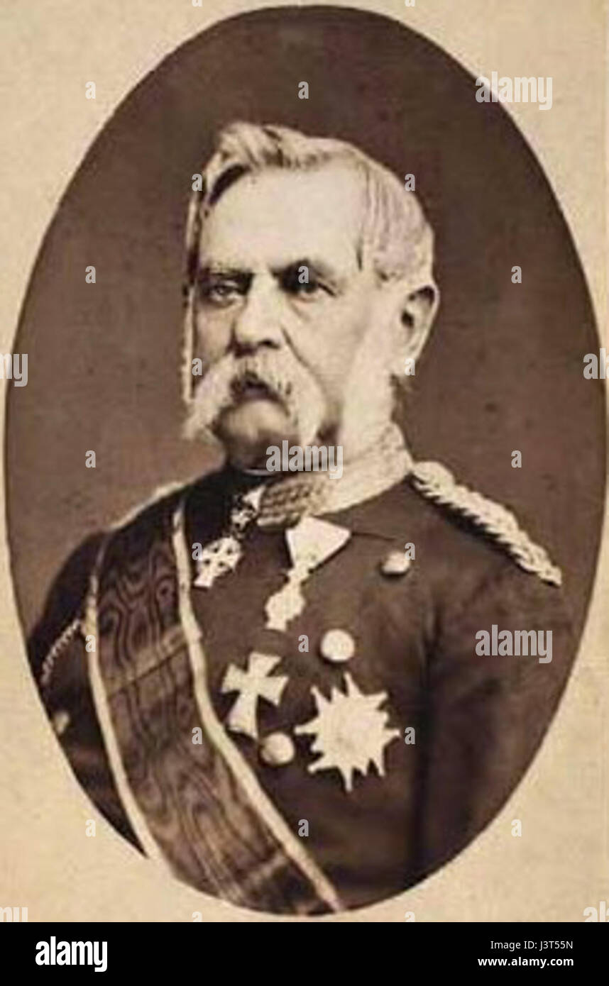 Johan Waldemar Neergaard by Emil Rye Stock Photo - Alamy