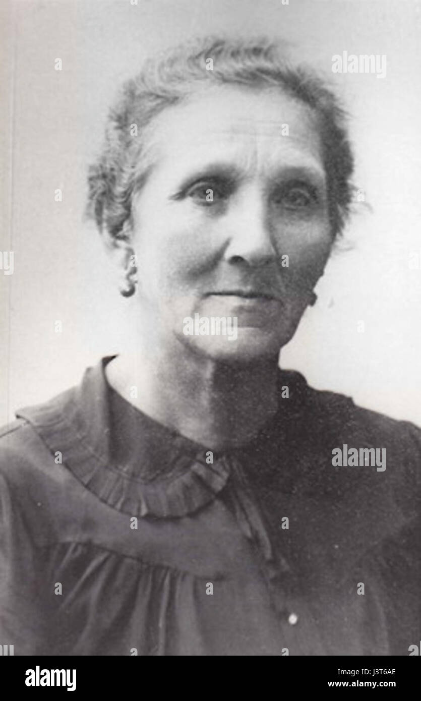 Novik hi-res stock photography and images - Alamy