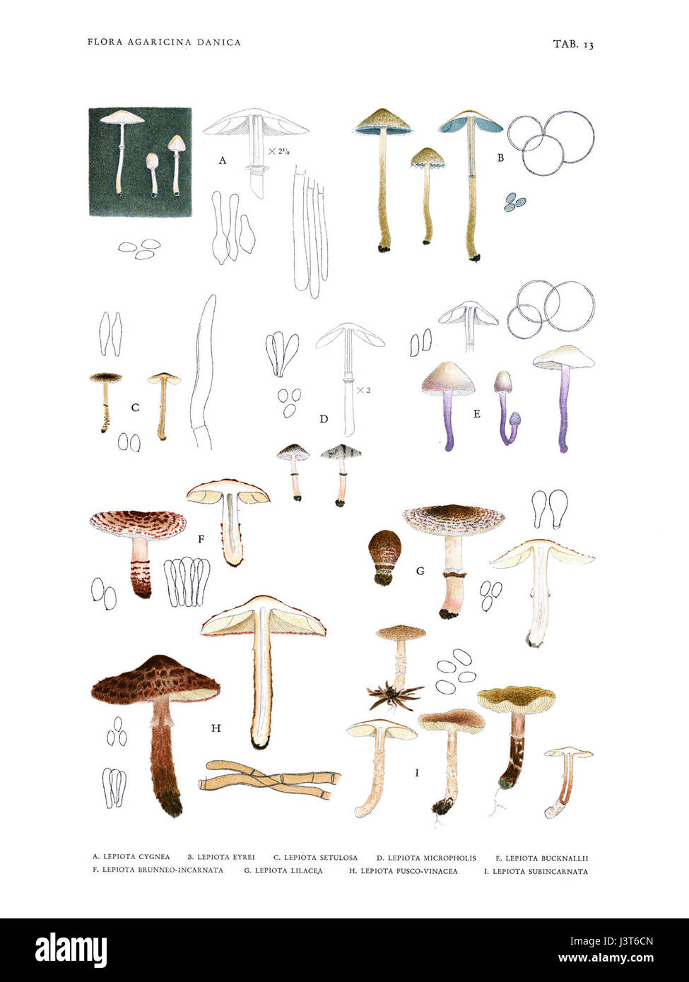 E 13 13 1 Cut Out Stock Images & Pictures - Alamy