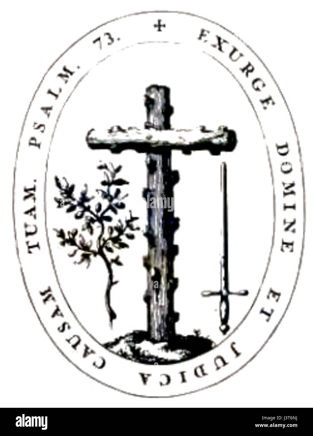 The Inquisition refers to a series of judicial institutions established ...