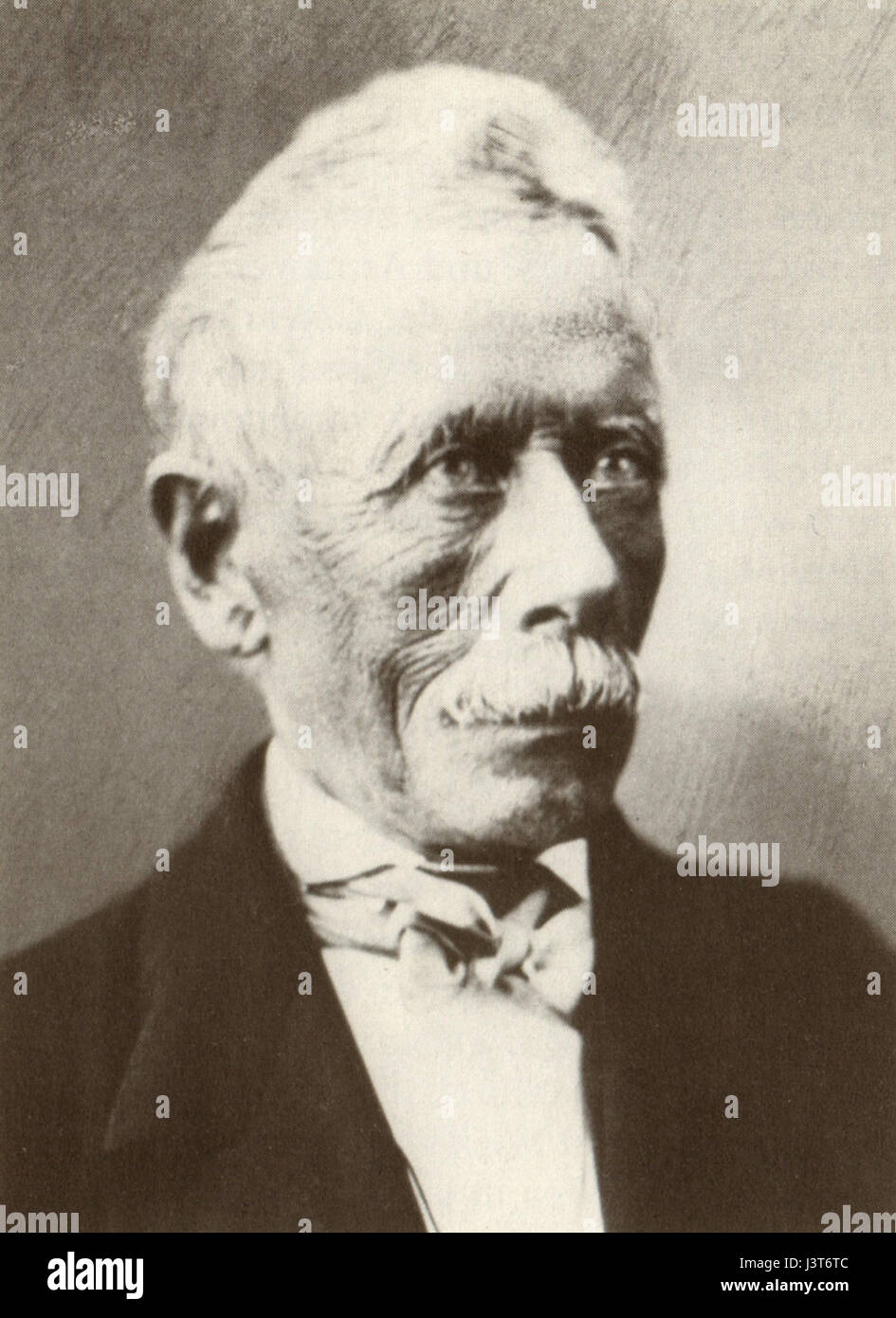 Karl Moritz Diesing Stock Photo - Alamy