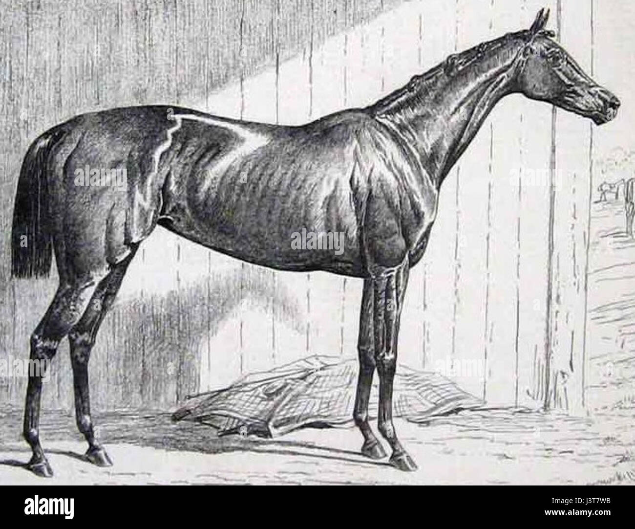 Jannette is a name that may refer to an individual or a cultural reference, but without ...