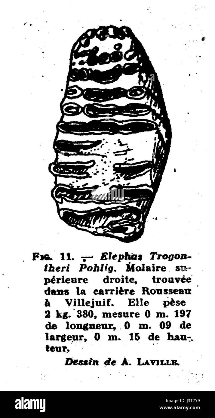 Protohistoric period hi-res stock photography and images - Alamy