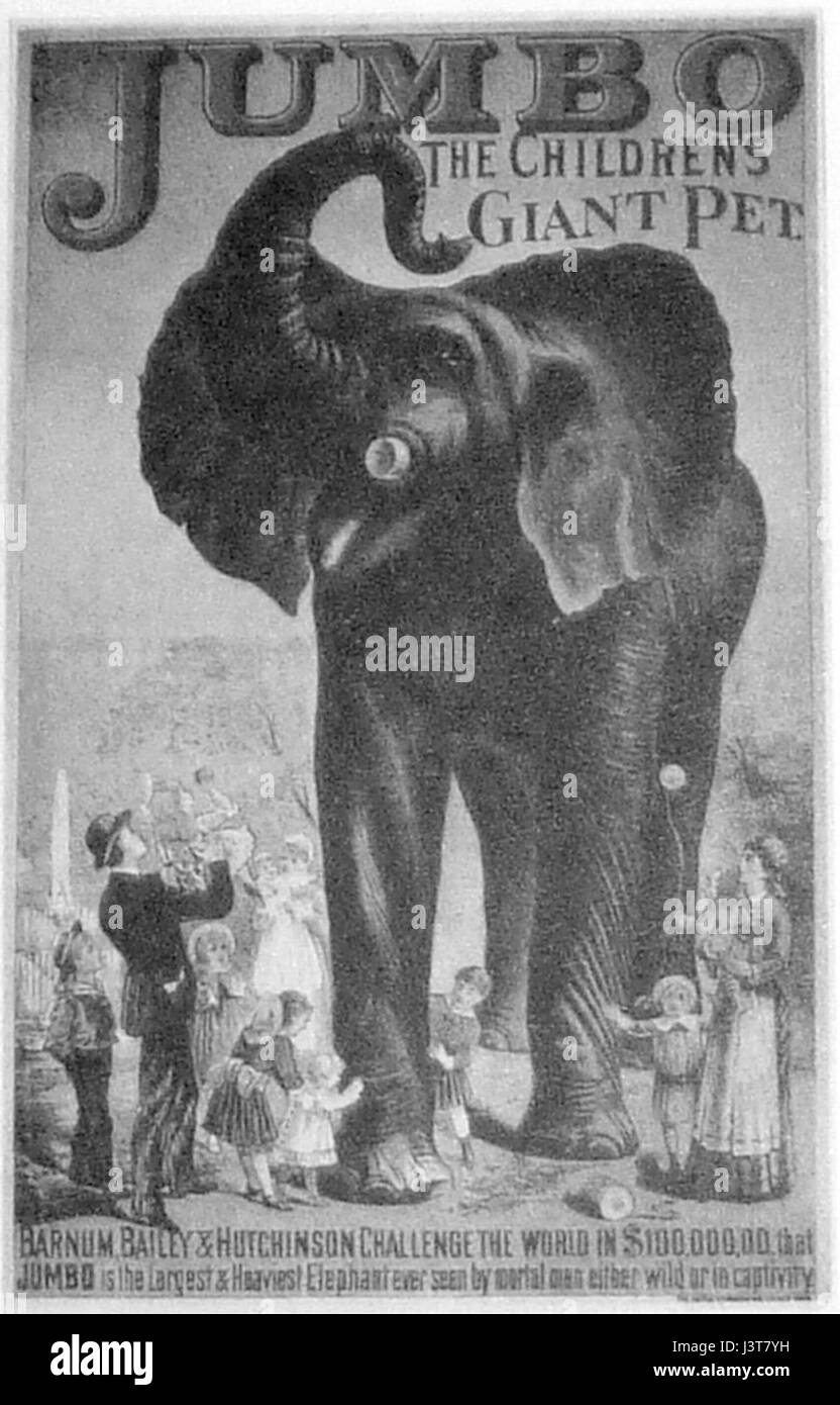 Pet care culture Black and White Stock Photos & Images - Alamy