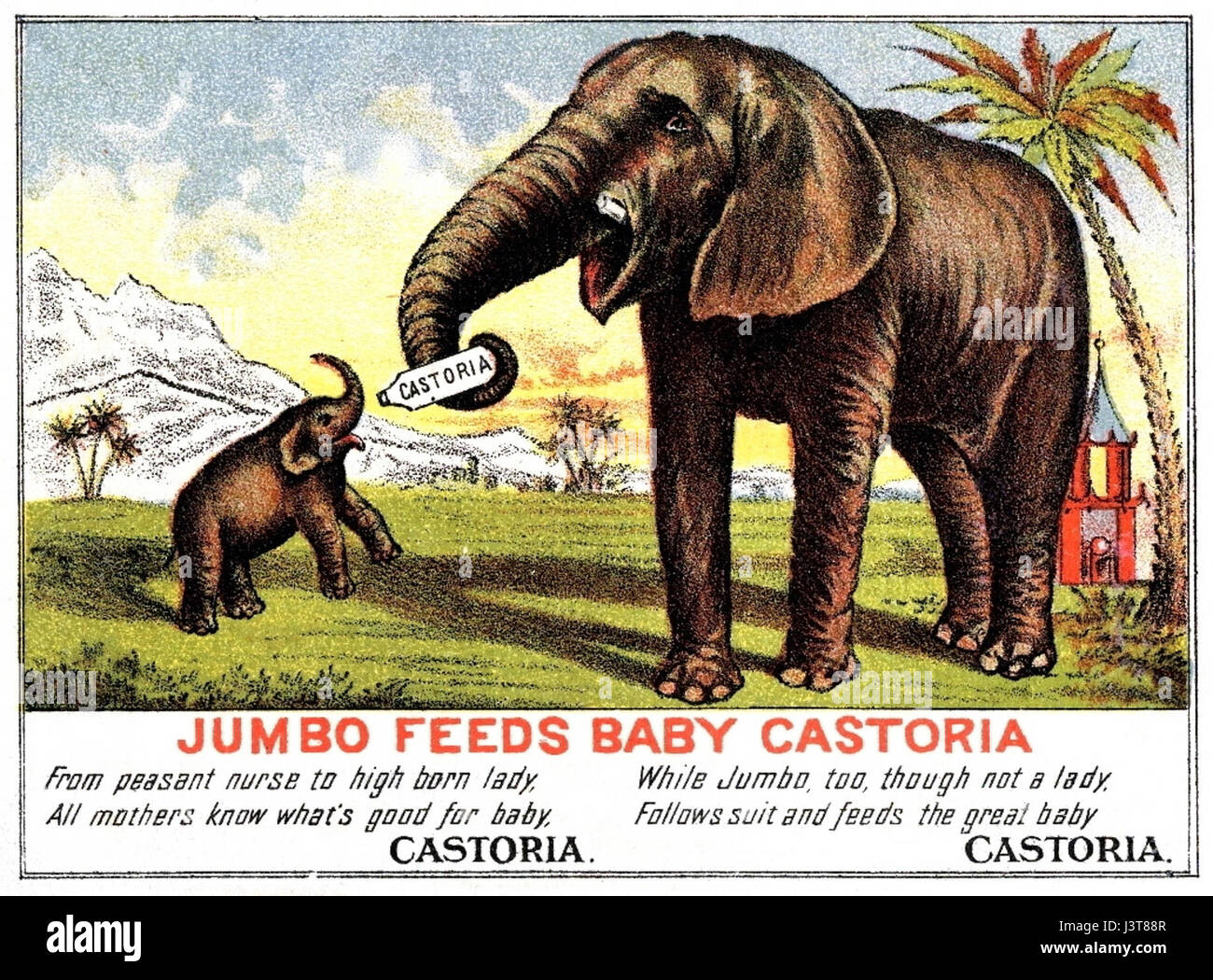 Jumbo Feeds Baby Castoria is a product designed for infant care ...