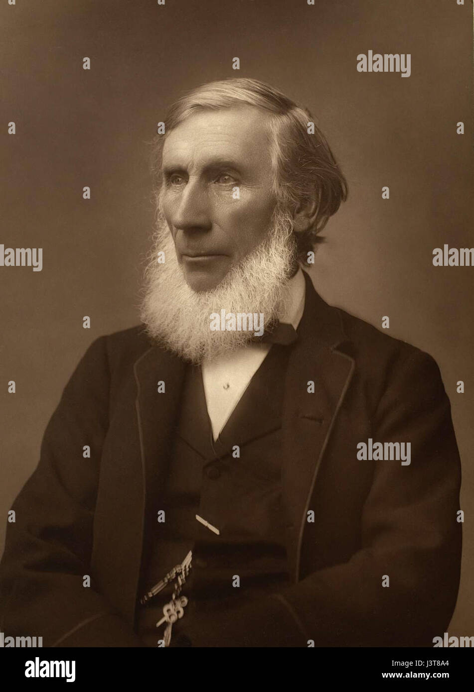A photograph or portrait of John Tyndall, a prominent 19th-century ...