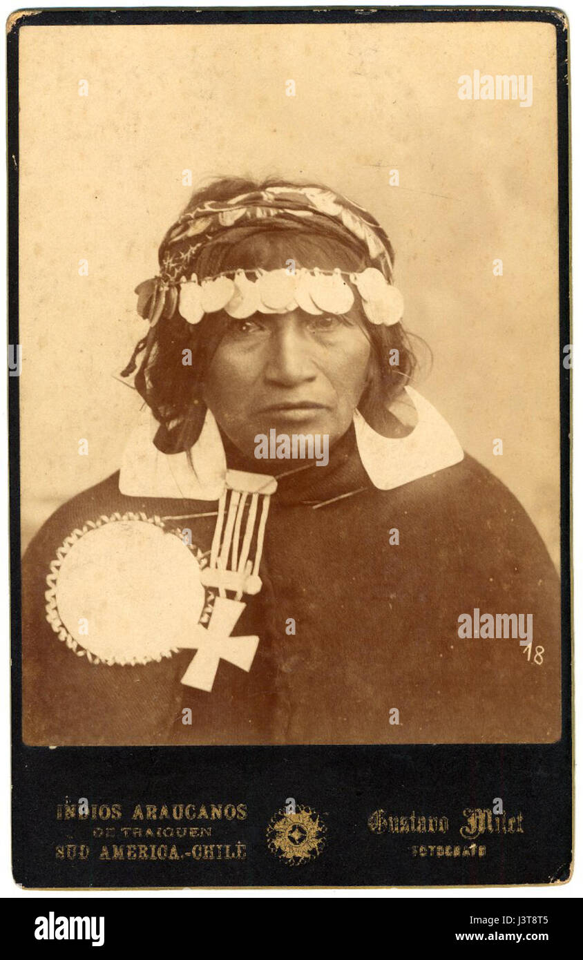 Indios Araucanos refers to the indigenous Mapuche people of Chile ...