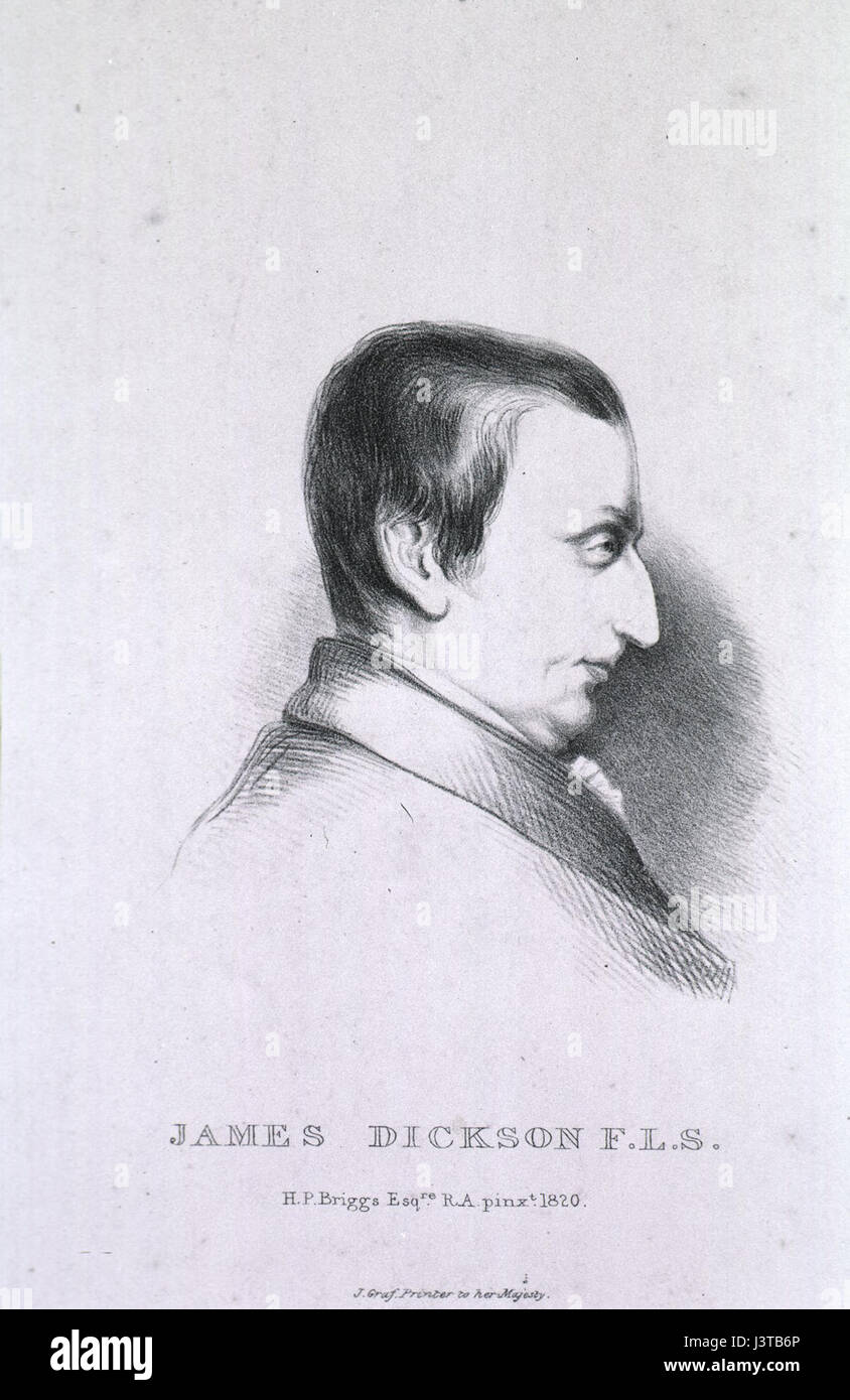 James dickson hi-res stock photography and images - Alamy