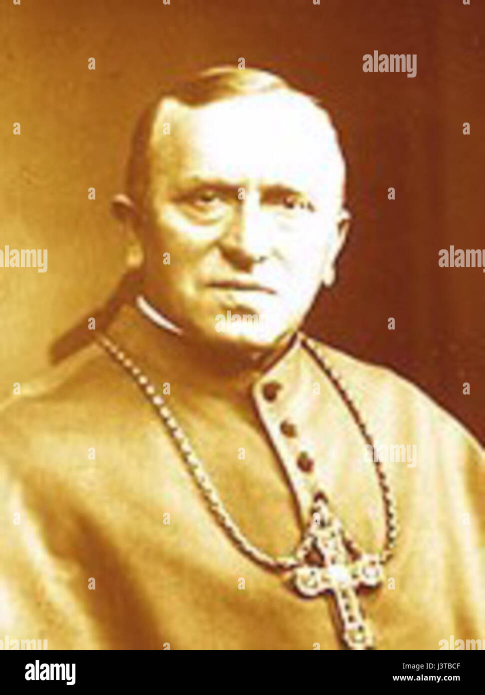 Johannes Poggenburg is a historical figure, possibly of German origin ...