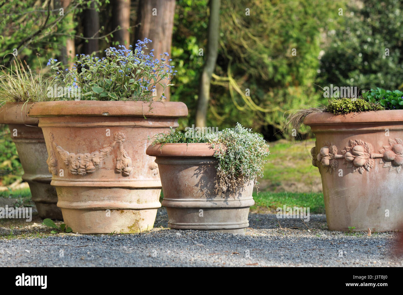 big terracotta pot on terrace Stock Photo - Alamy