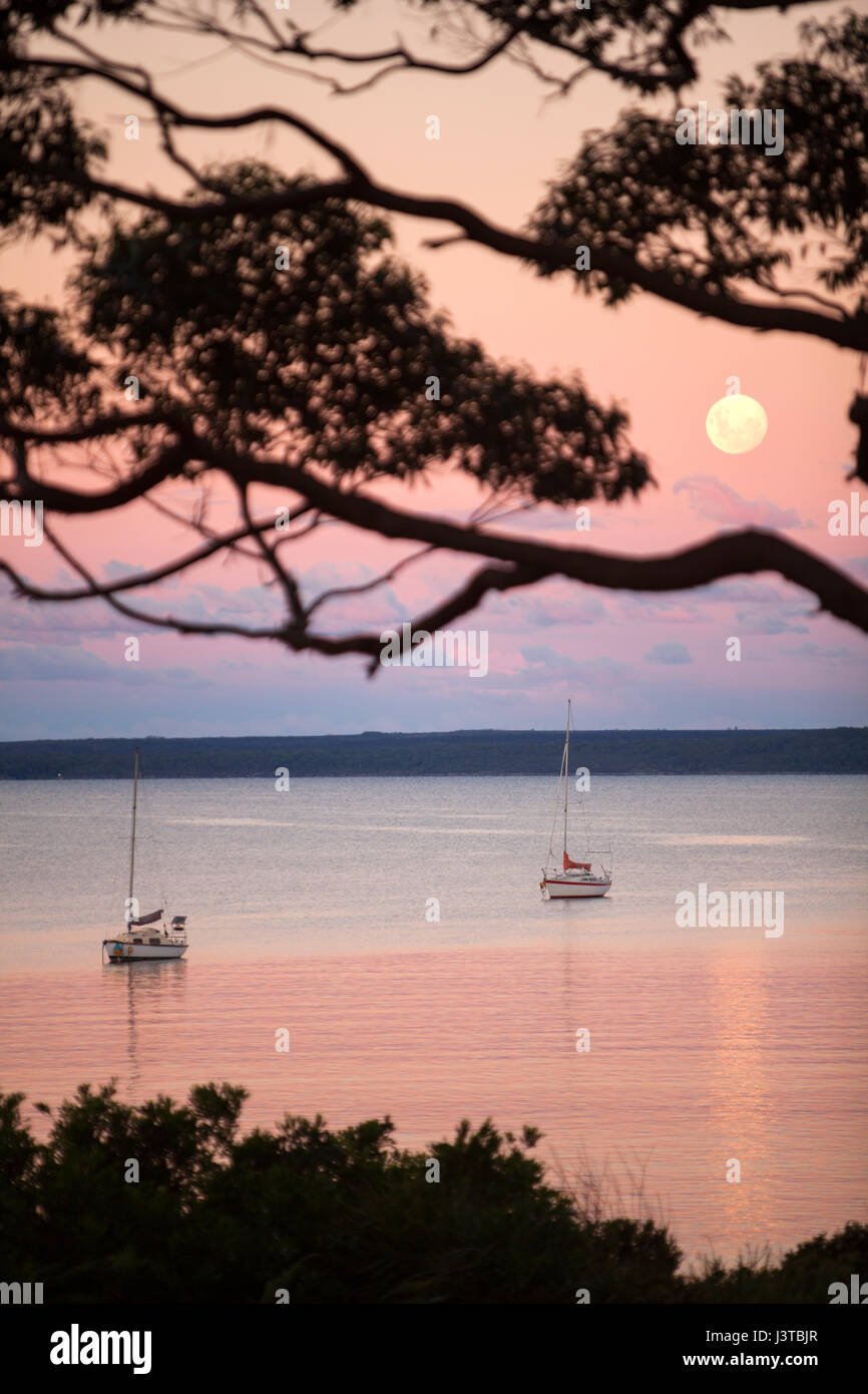 Vincentia nsw australia hi-res stock photography and images - Alamy