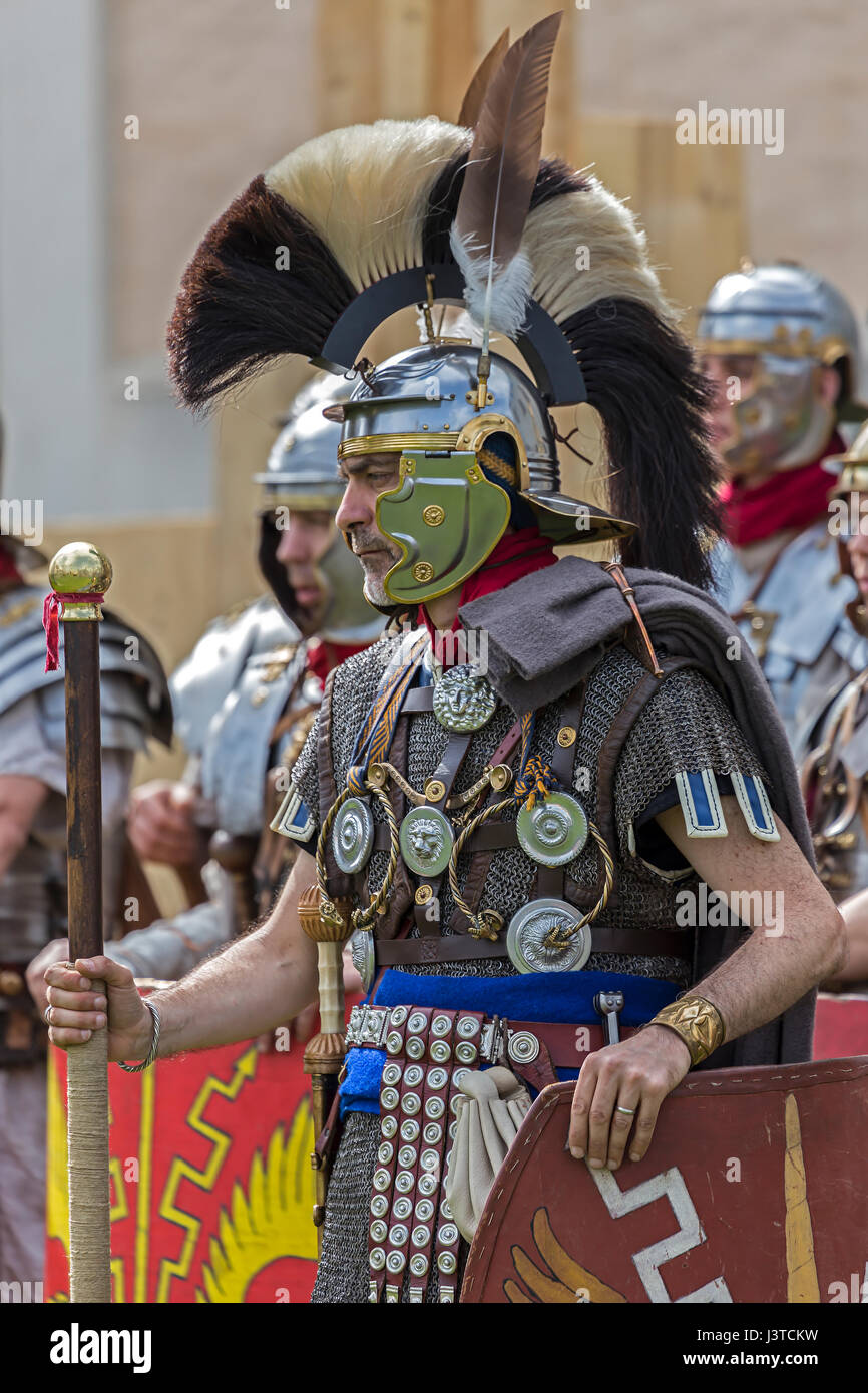 Handsome muscular warrior sword hi-res stock photography and images - Alamy