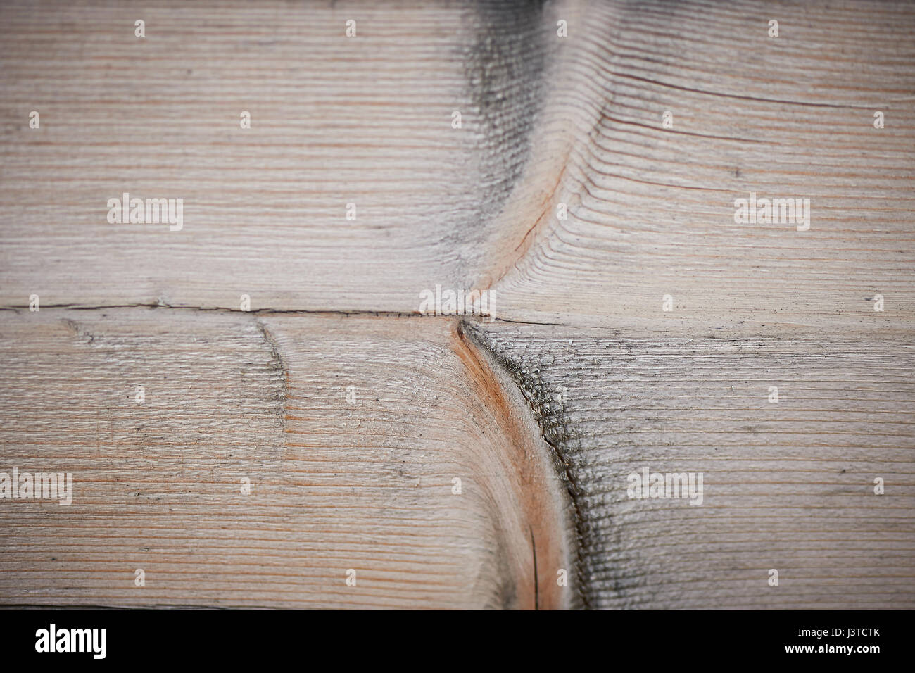 Light wood texture. Bleached oak. The texture is close Stock Photo - Alamy