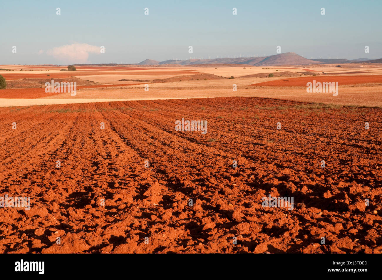 Castilian landscape. Soria province, Castilla Leon, Spain Stock Photo ...