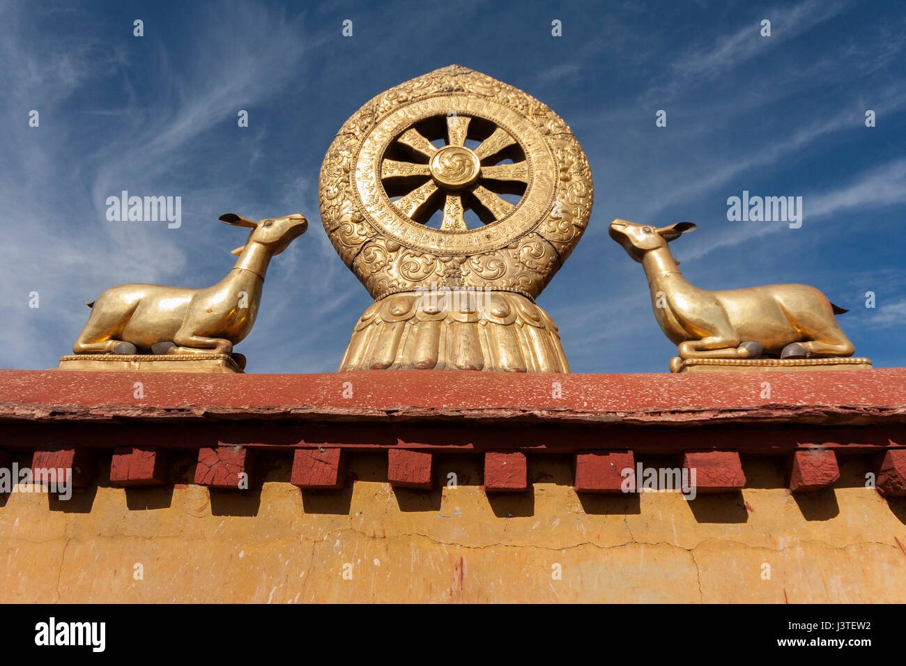 Dharma Chakra Stock Photos & Dharma Chakra Stock Images - Alamy
