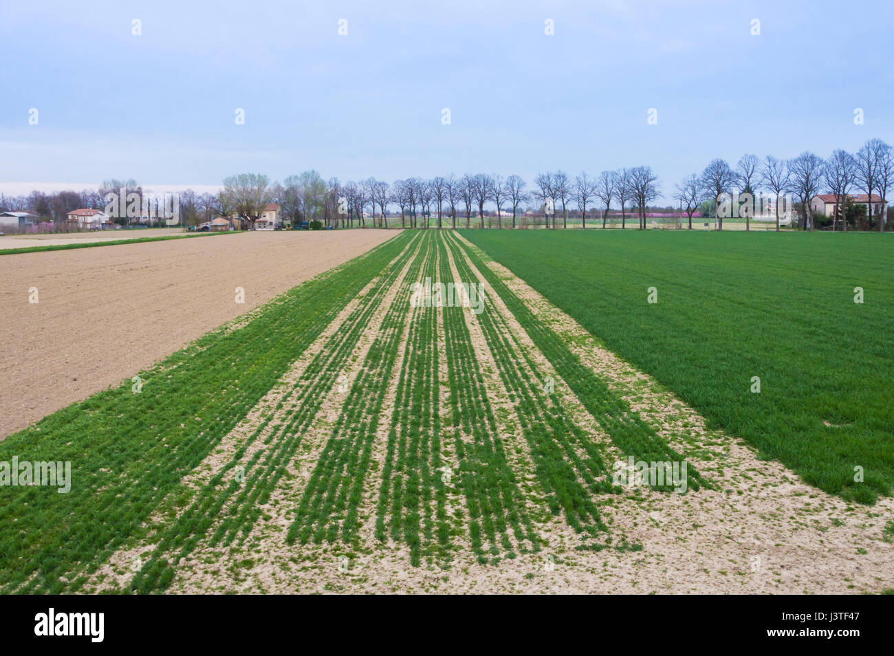 Soft colours cultivated field after passage of tractors and sowing ...