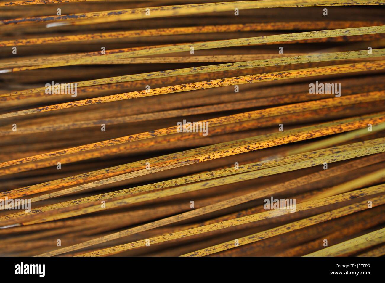 Xanthorrhoea australian grass tree hi-res stock photography and images ...