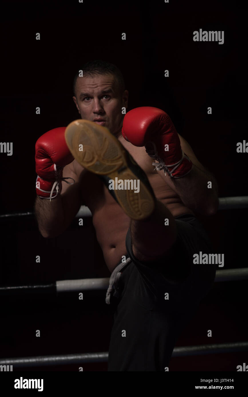 professional kickboxer with hands in martial arts position training for ...