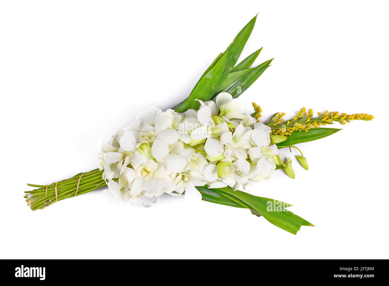 White orchid with pandan for Buddhist begging isolated on white ...