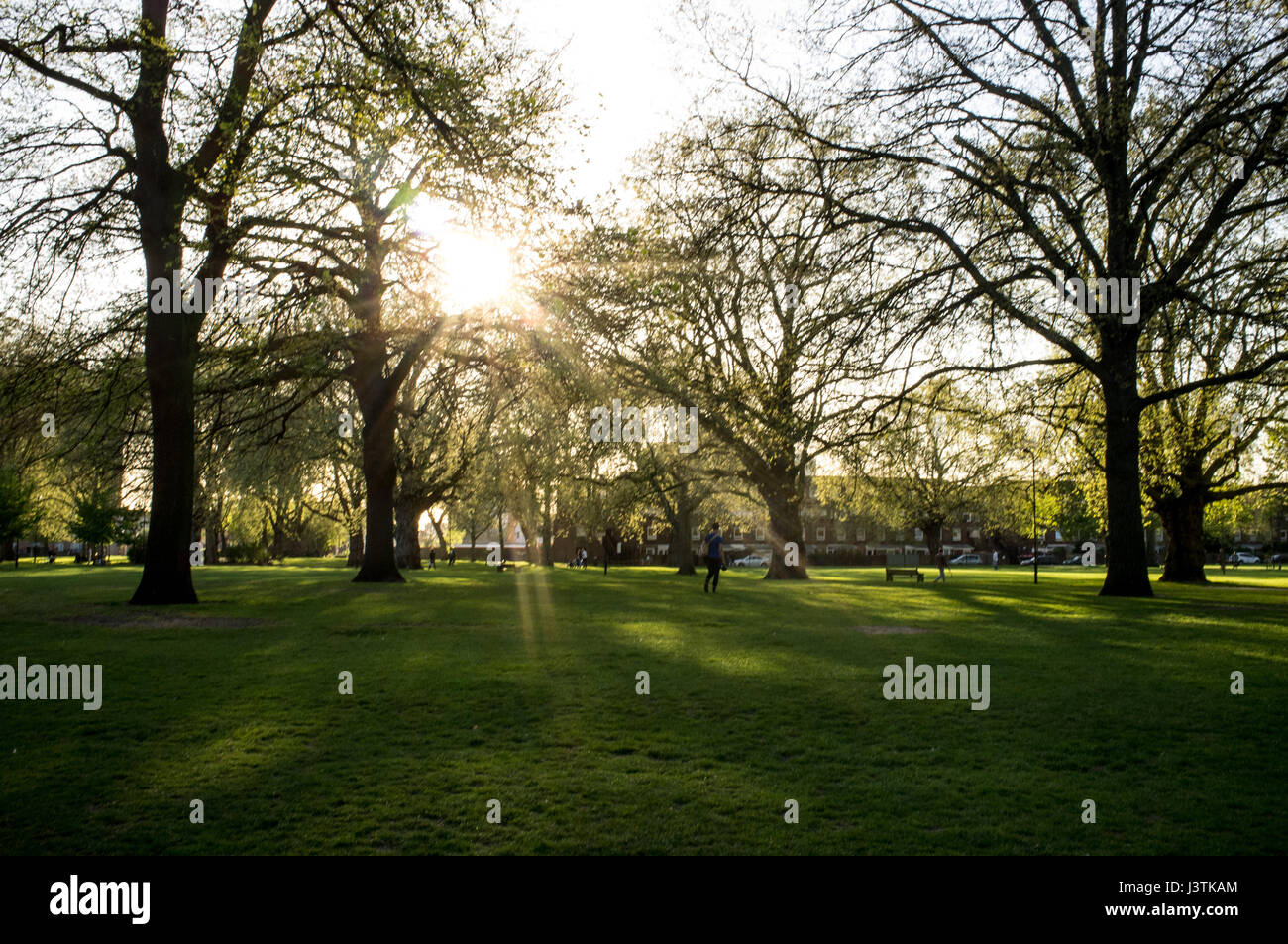 Sunset over Well Street Common in Hackney, east London Stock Photo - Alamy