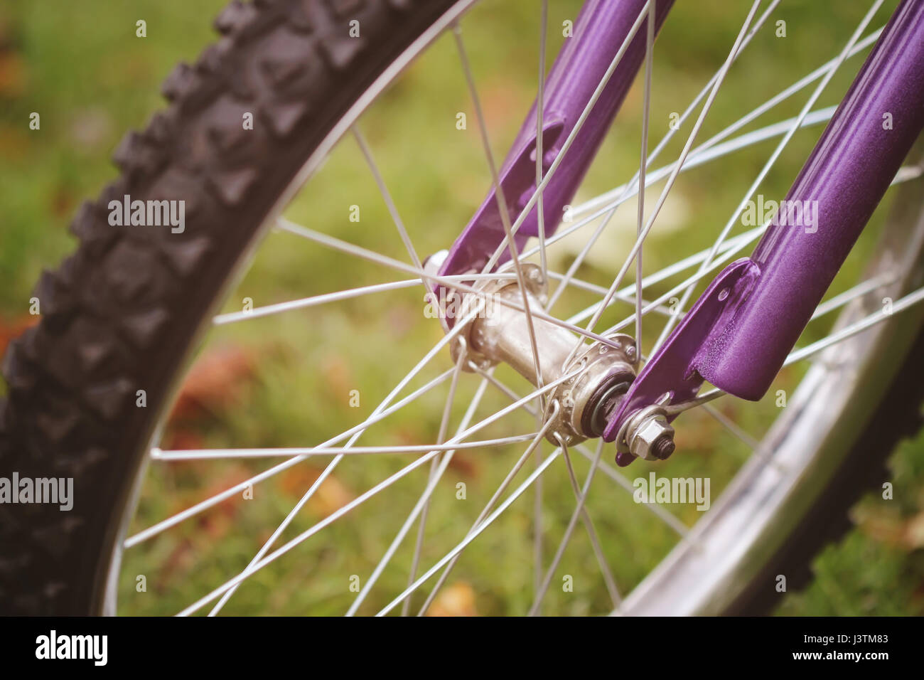 Wheel of the bicycle Stock Photo - Alamy